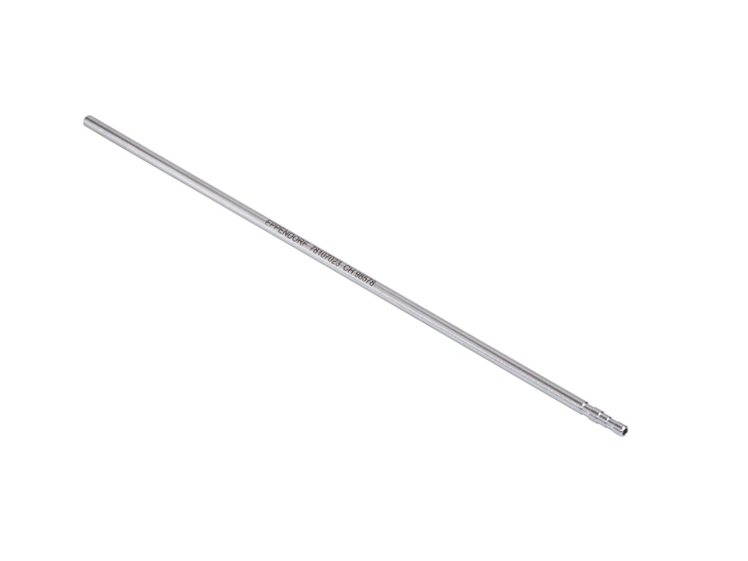 Stainless Steel Pipes