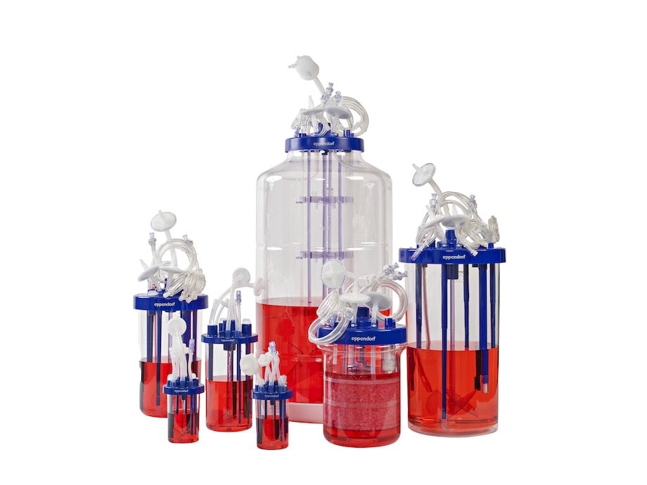 Dasgip® Parallel Bioreactor System