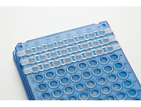PCR cap strips - PCR Caps - Eppendorf US