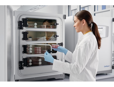 CellXpert® C170 - Cell Culture Incubator - Eppendorf South Pacific