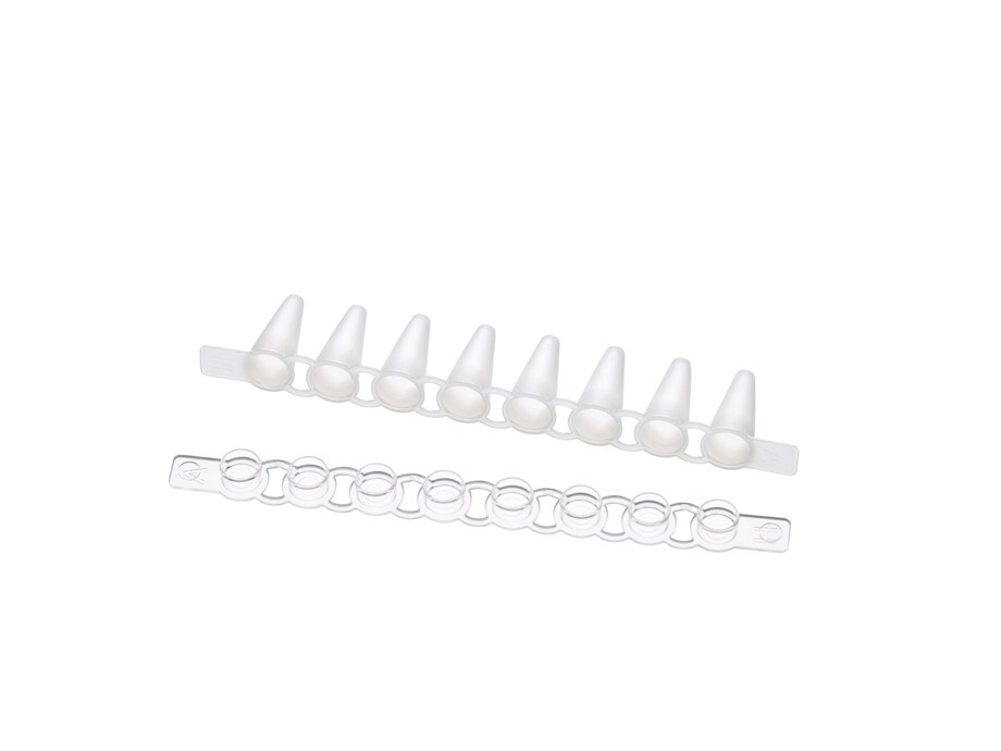 Eppendorf Fast PCR Tube Strips - PCR Strips With Caps