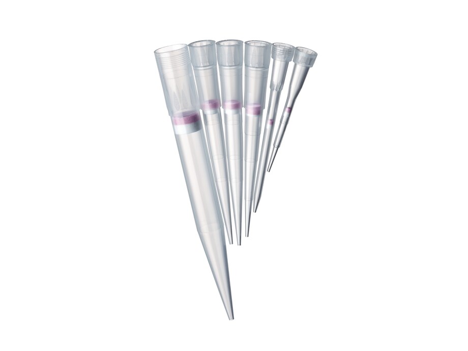 Pipette Tips