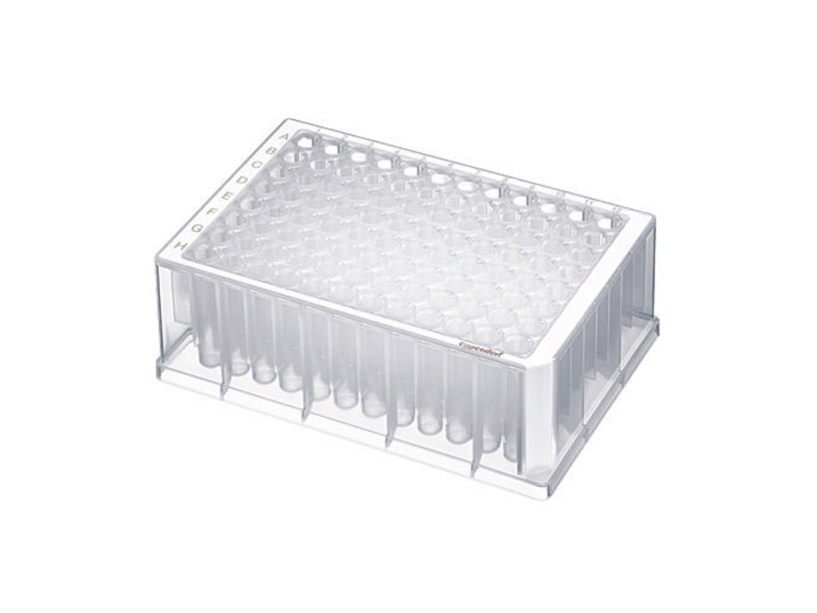 Eppendorf Deepwell Plates