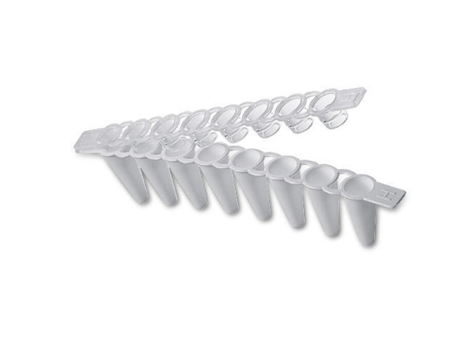 PCR cap strips - PCR Caps