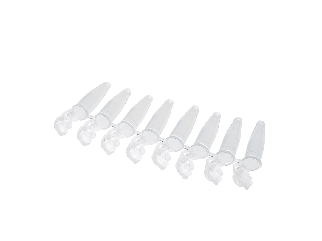Eppendorf Pcr Tubes Pcr Tubes