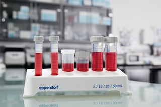 Eppendorf Conical Tubes 25 mL