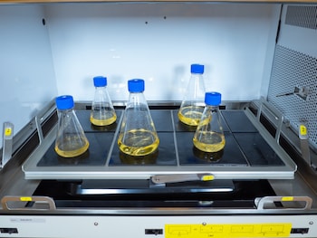 New Brunswick Innova® 44/44R - 可叠放生物摇床