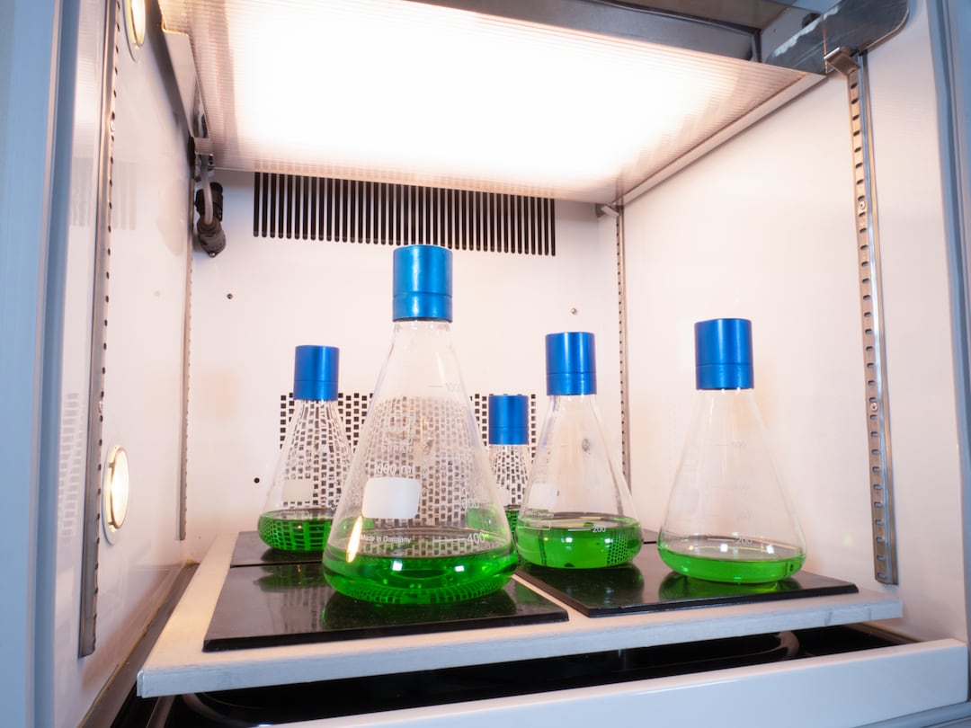 New Brunswick Innova® 42/42R - 可叠放生物摇床