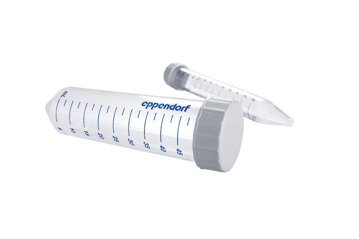 Eppendorf Conical Tubes 15 mL e 50 mL
