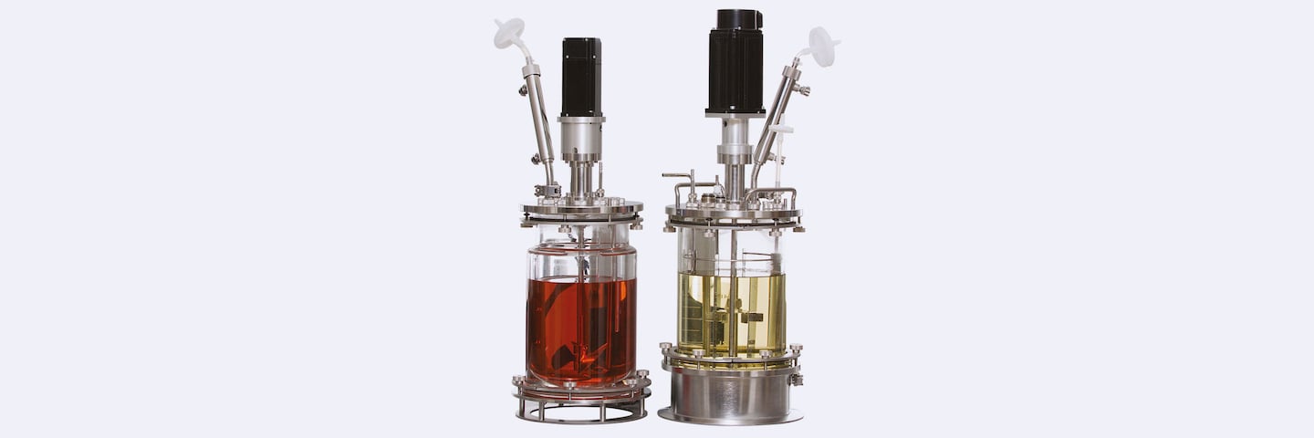 Glass Bioreactors