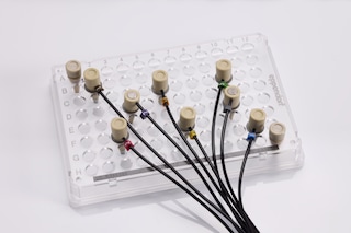 Temperature Verification Systems