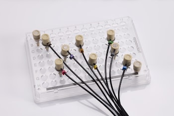 Temperature Verification Systems